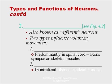 Chapter Neuromotor Basis For Motor Control Concept