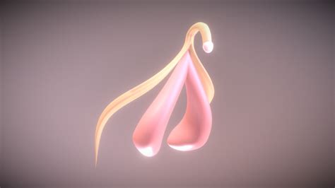 Clitoral Structure Buy Royalty Free 3d Model By Marcoromero