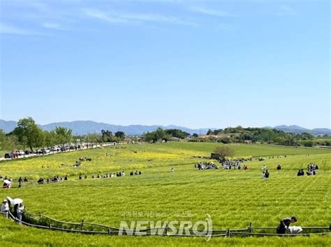 [기획] ‘고창청보리밭축제 흥행대박 비결은 뉴스로