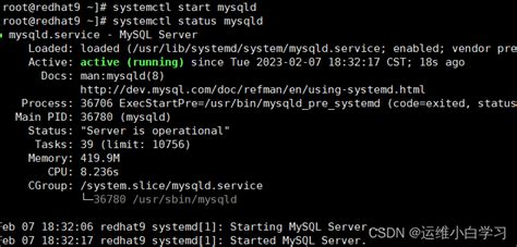 最新版redhat9 my sql 的部署 （4种教学）超详细 redhat配置mysql csdn博客