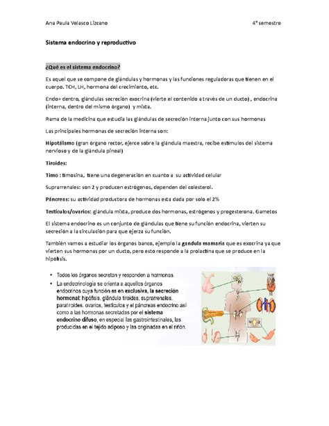 Sistema Endocrino Y Reproductivo 1° Parcial Sistema Endocrino Y