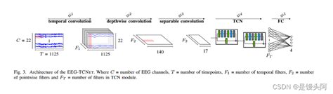 17、eeg Tcnet论文解读模型复现bci Iv2a测试 Csdn博客
