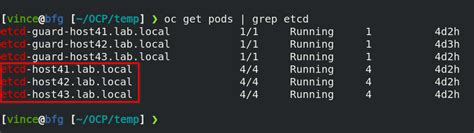 Adding A New Node To The Cluster — My Unofficial Lab Guides Main Documentation