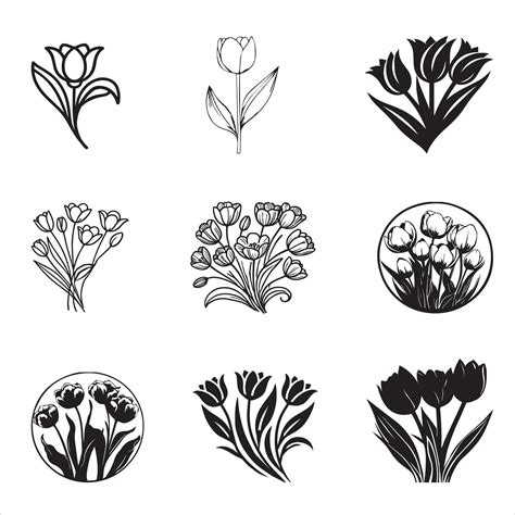 Elegant Tulip Flower Design Bundle 55037424 Vector Art At Vecteezy