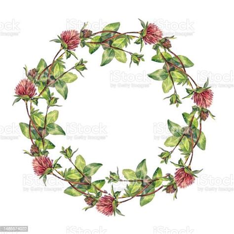 수채화 야생화가 있는 원형 프레임 클로버는 흰색 배경에 분리되어 있습니다 결혼식 초대장 포스터 또는 카드용 여름 또는 봄 배너 템플릿입니다 장식 책을 위한 복사 공간이 있는