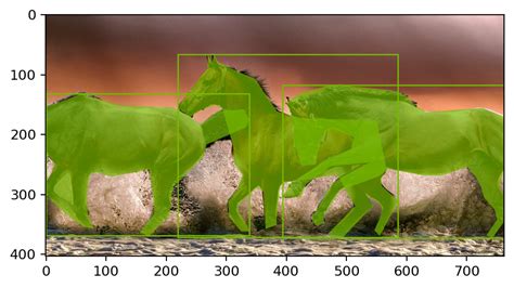 COCO Reader With Augmentations NVIDIA DALI