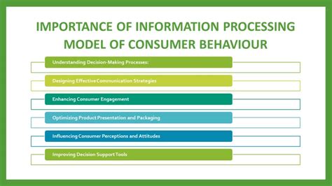 Information Processing Model Of Consumer Behaviour Assumptions 8 Stages Importance And Criticism