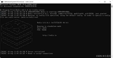 Redis非关系型数据库 Csdn博客