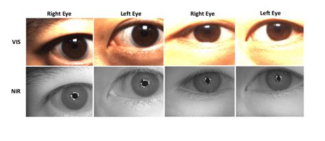 vis and nir iris images from the polyu bi spectral iris database