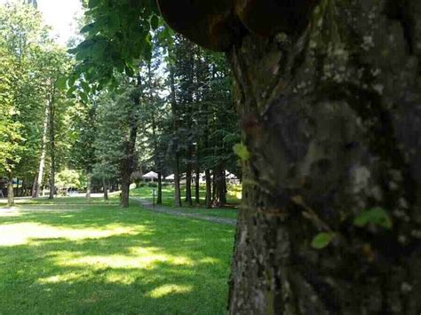 Все зміниться серпень 2023 стане унікальним періодом для двох знаків зодіаку Hot News