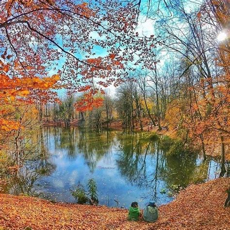 مرداب وربن در جنگل سینوا و ساحل خزر 28 خرداد یوتوپین