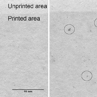 Left Digital Image Of The Backside Of A Region Of The TMP Printed Download Scientific