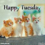 100 Hilarious Happy Funny Tuesday S Of The Week Funzumo