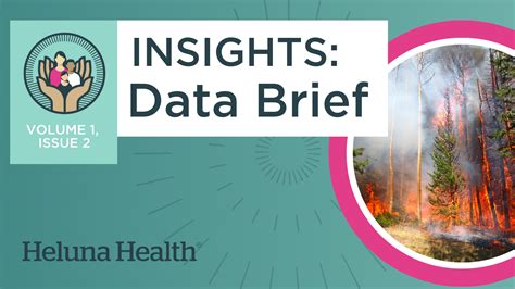 Wildfire Smoke Impacts In Western States And Gaps In Household