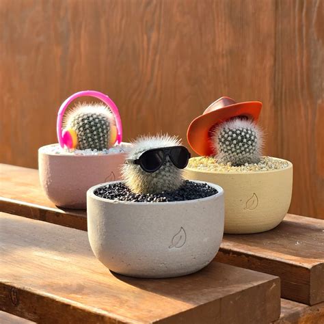 평범한 식물은 이제 그만 텀블벅 크리에이터를 위한 크라우드펀딩