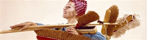 Sonett Je Maatje Bij Hardnekkig Schoonmaakwerk Koop Nu Bij Eco Logisch