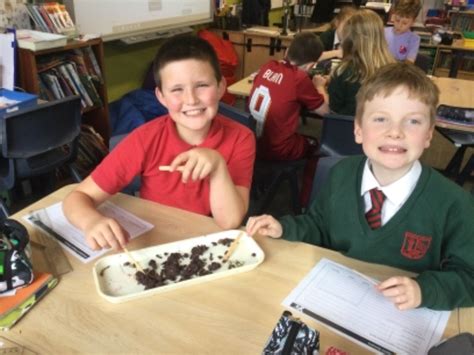 Mrs Black S Class Excavating Viking Poo