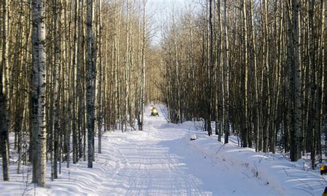 Three Top Trails Near Westlock Alberta Snoriders
