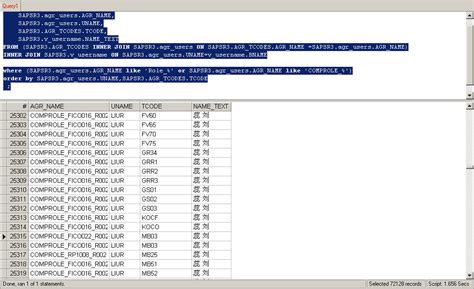 导出sap系统内的用户 角色 tcode关系 sap 角色 tcode csdn博客