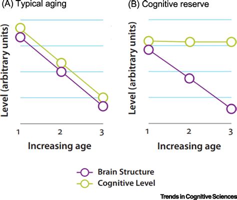 Bilingualism Pathway To Cognitive Reserve Trends In Cognitive Sciences