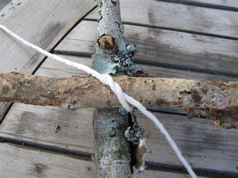 Welcome To DIY Trellis