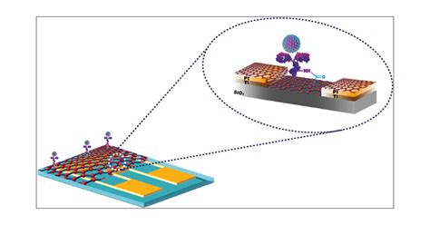 Ultrasensitive And Reusable Graphene Oxide Modified Double Interdigitated Capacitive Didc