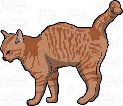 Tabby Cat Clipart At Getdrawings Free Download