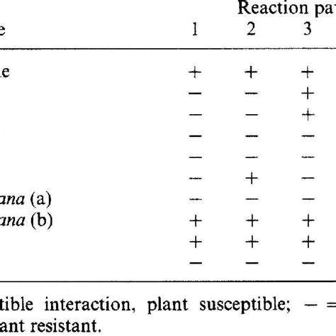 Reaction Pattern Of Tester Plants On Different Single Conidial Isolates