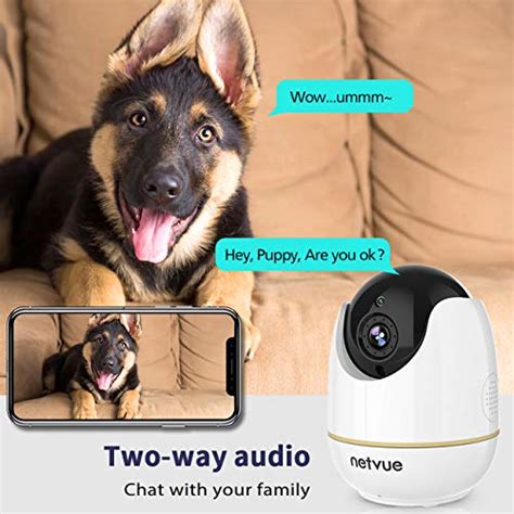 Netvue Indoor Camera Enhanced Security Camera With Advanced Ai Skills