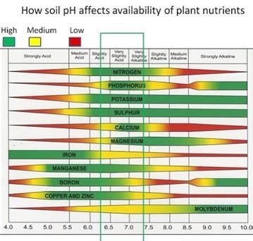 Ph And Nutrient Availability Chart - Ponasa