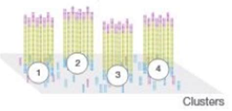 Chapter 14 Genome And Genomics Flashcards Quizlet