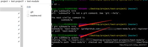 Idea聚合项目多module 下分支版本管理 Git管理idea Submodule Csdn博客