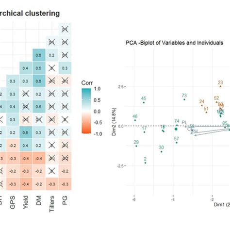 Correlation Plot With Hierarchical Clustering Of Traits And Principal Download Scientific
