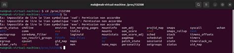 proc surveiller votre système Linux malekal