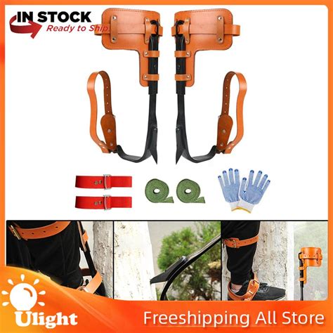 Tree Climbing Gear Calgary At Mark Cox Blog