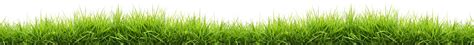 Grass Footer Arbortrim Training