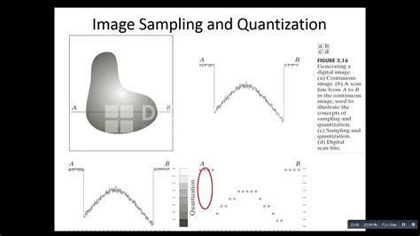 7 Components Image Processing Sampling Quantization Youtube
