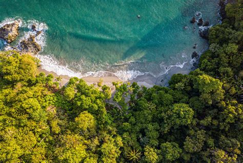 Costa Rica Vacation Packages 2024 All Inclusive Trips And Resorts