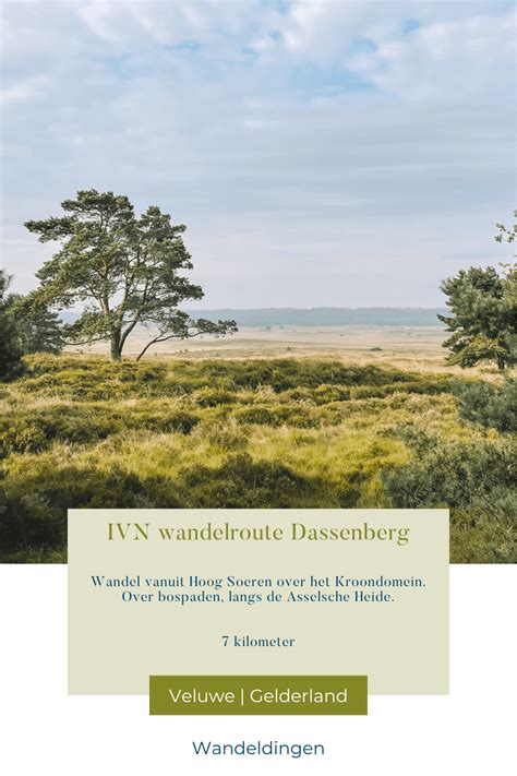 Ivn Wandelroute Dassenberg Bij Hoog Soeren Wandeldingennl