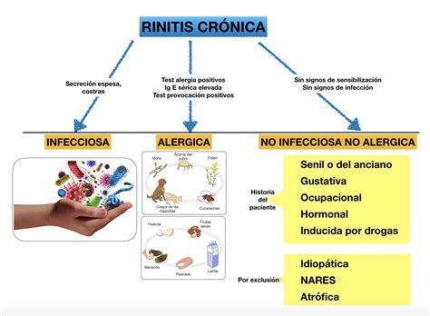 Rinitis No Alérgica Gaes Orl Guide
