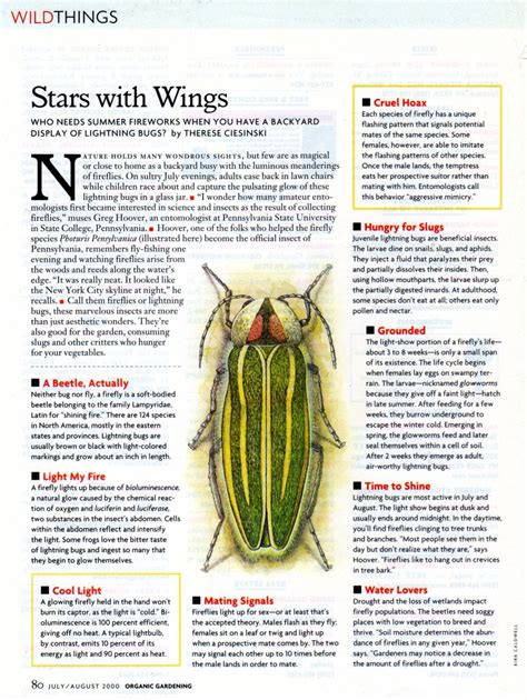 Lightning Bugs Habitat Map At Mackenzie Sheehy Blog