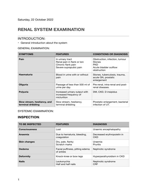 Renal System Examination Guide Symptoms And Diagnosis