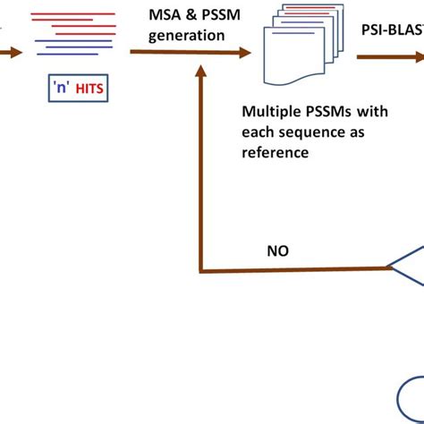Three Dimensional Structure Of Phosphoserine Aminotransferase Psat