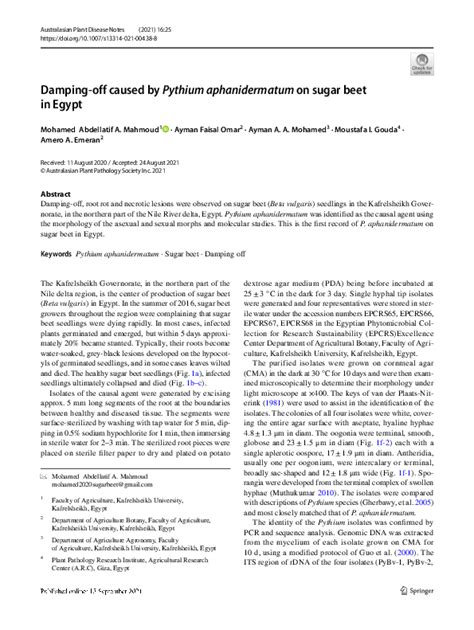 Pdf Damping Off Caused By Pythium Aphanidermatum On Sugar Beet In Egypt