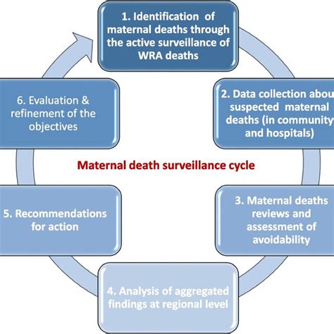 Conceptual Framework For Mdss Implementation Adapted From Cfir 28