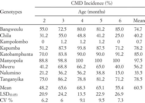 Cmd Incidence On Different Cassava Manihot Escu Lenta Genotypes At