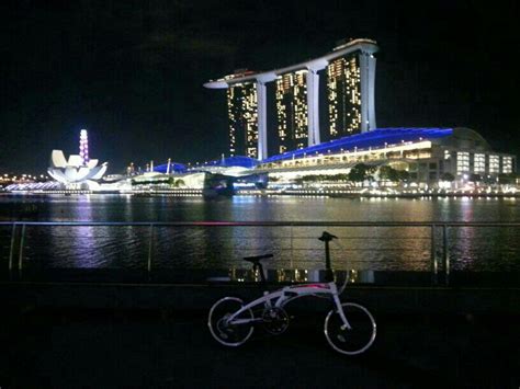 Maxxum Interactive Tern Verge P18 Review