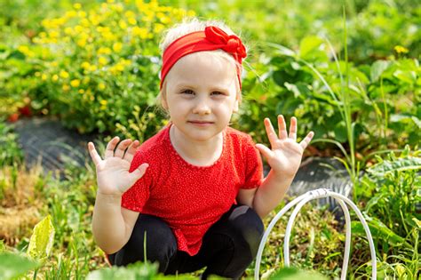 스스로 따는 농장에서 딸기를 따는 어린 소녀 미소 수확 개념입니다 빨간 옷 2 3 살에 대한 스톡 사진 및 기타 이미지 2 3 살 건강한 생활방식 견학 Istock