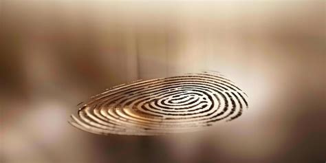 Enhance Cybersecurity With Fingerprint Scanning Biometric Authentication For Data Protection