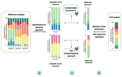 A Detailed Description Of Sequences Processing And Random Forest